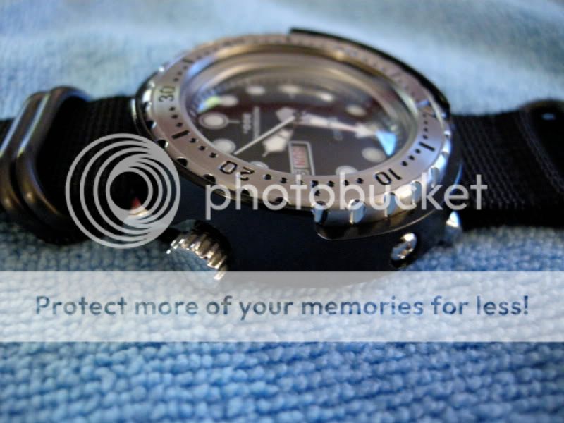 Sunday Afternoon Tuna Mod | WatchUSeek Watch Forums