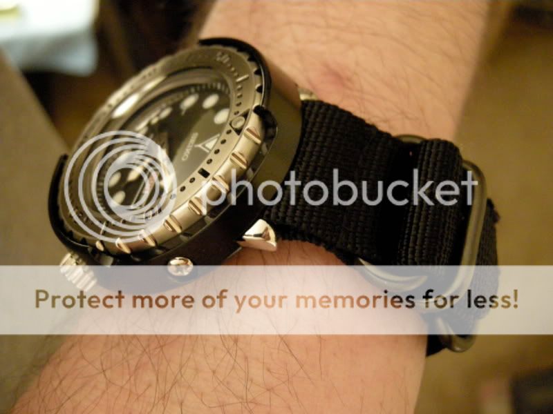 Sunday Afternoon Tuna Mod | WatchUSeek Watch Forums